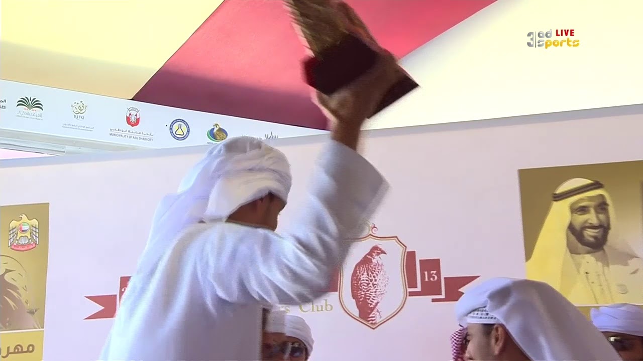 Sheikh Zayed Falconry Event - 2019 - YouTube