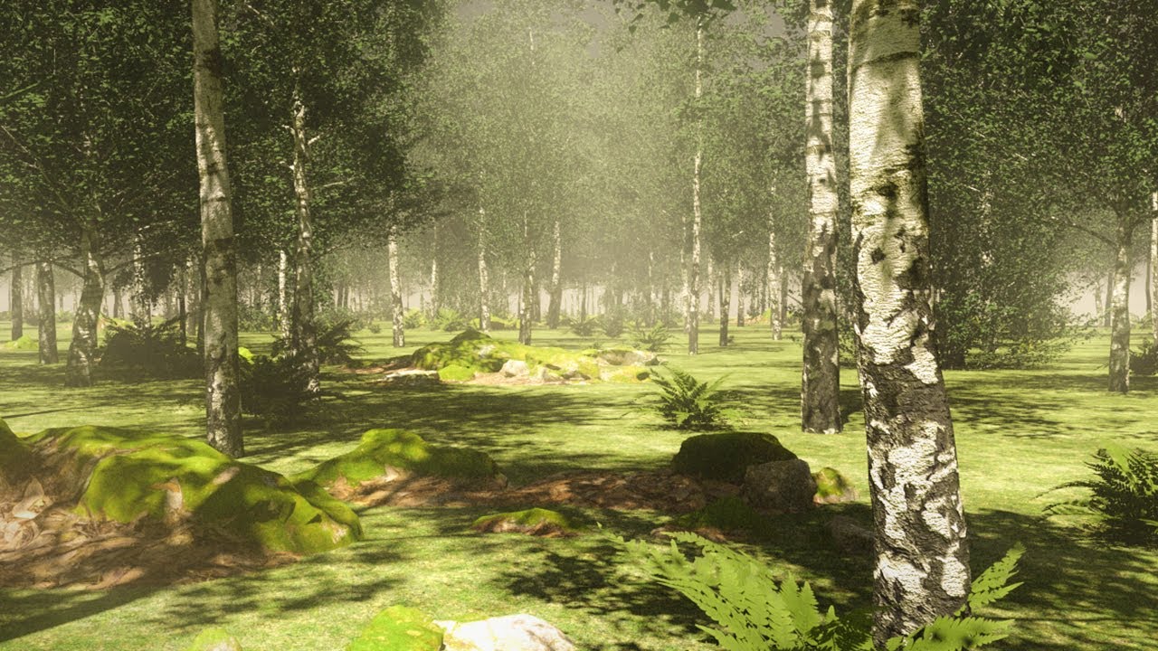 Creating a 3D Forest Environment - VRay for Rhino 7 - YouTube
