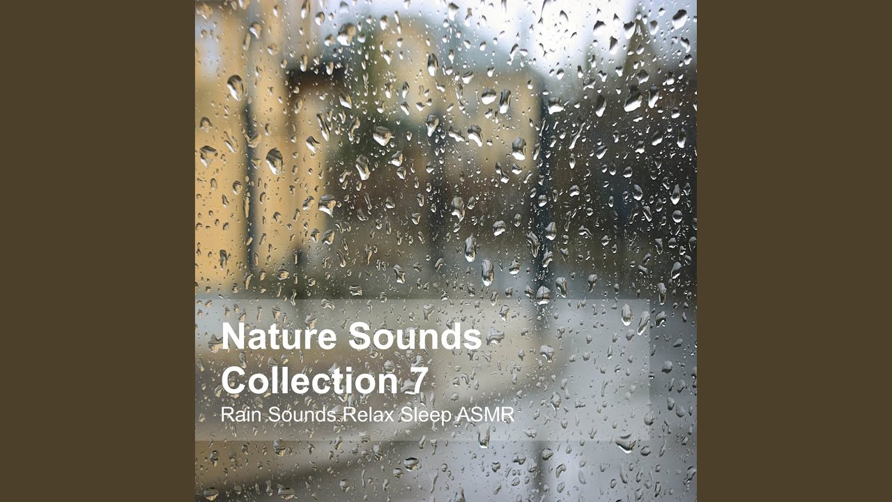 Nature Water and Bird Sound - YouTube