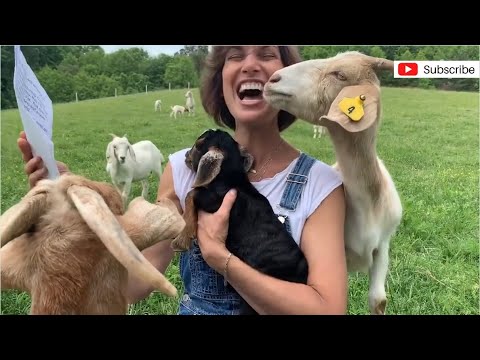 Why fail moments Has Just Gone Viral 🤡 - YouTube