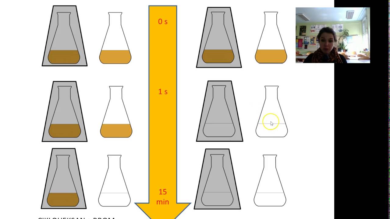 Substitucija in adicija - YouTube