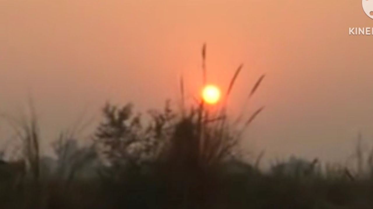 akad bakad bambe Bo assi nabbe pure sau - YouTube