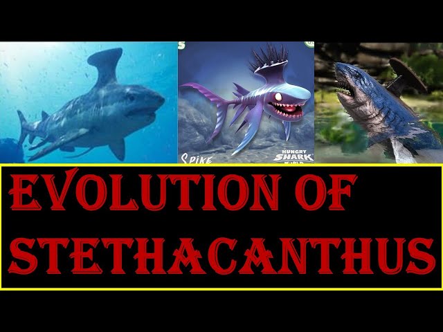 Stethacanthus Toys