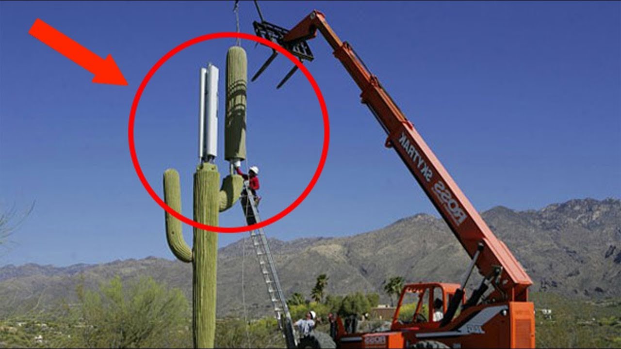 STRANGEST Government Operations Ever! - YouTube