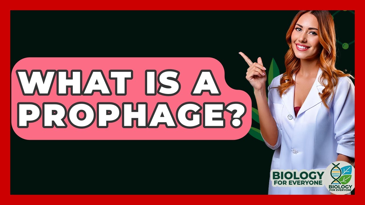 What Is A Prophage? - Biology For Everyone - YouTube