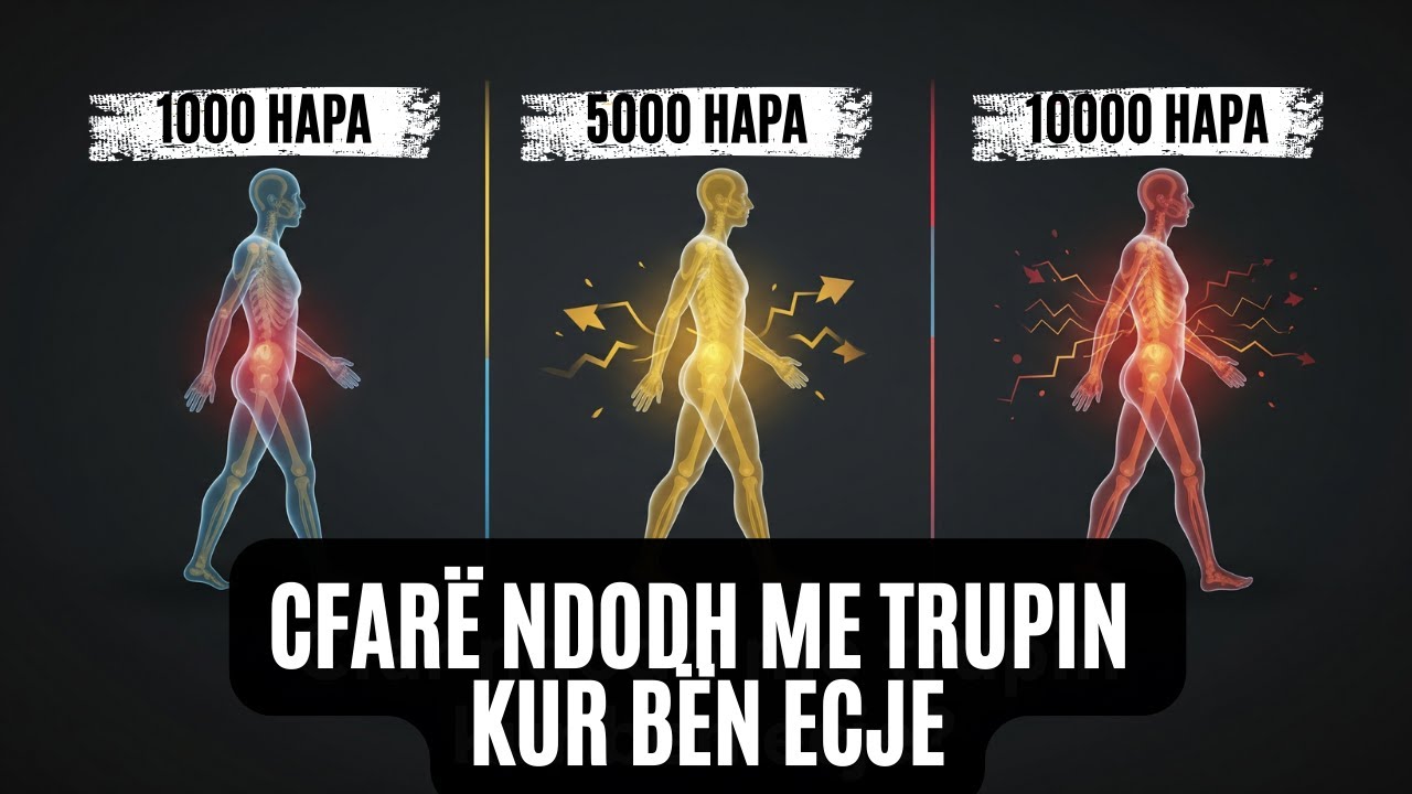 Cfarë Ndodh Me Trupin Kur Bën Ecje - 1KM - 10KM - YouTube