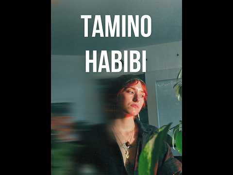 Habibi (French Cover) - Clair.e