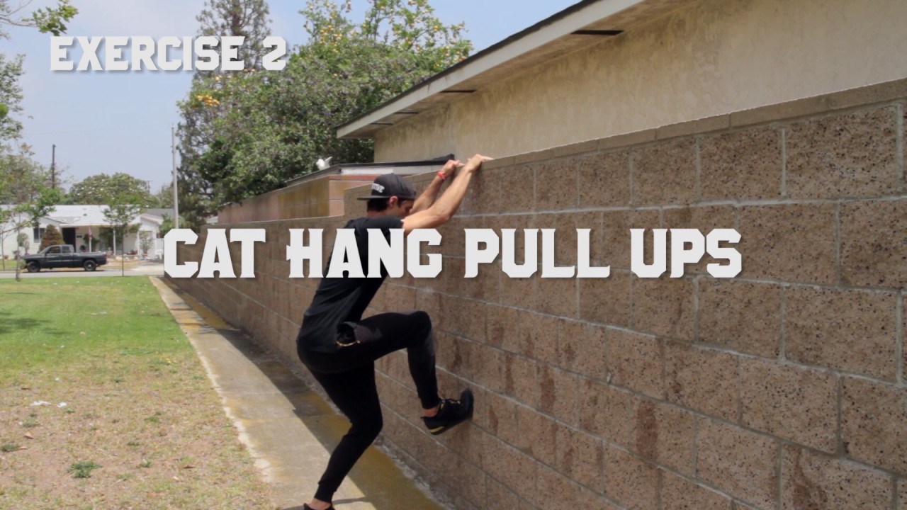 Beginner's Guide to Parkour - WALL WORKOUT - Day 4 - YouTube