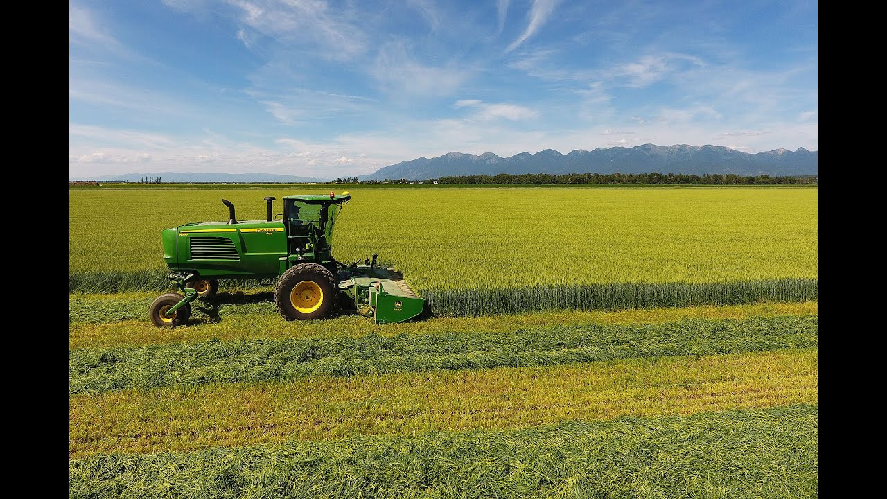 Cutting Hay - Summer 2016 - YouTube