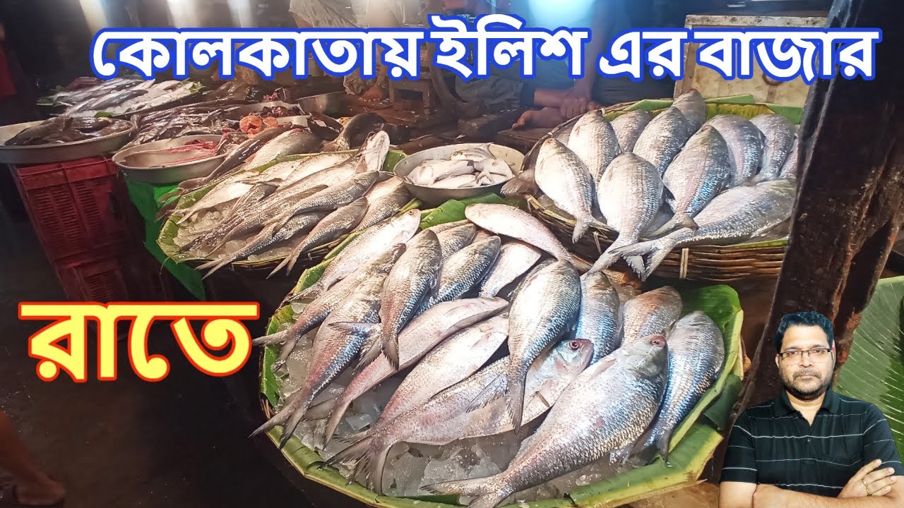 Hilsa Fish Market In Kolkata at Night | Vetki fish, Pomfret fish, Ilish ...