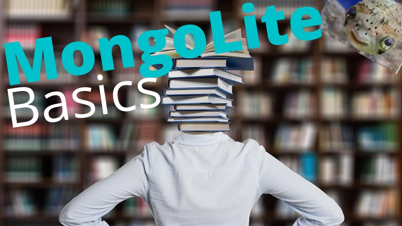 HOW TO MONGOLITE BASICS: FROM R-STUDIO TO MONGODB - YouTube