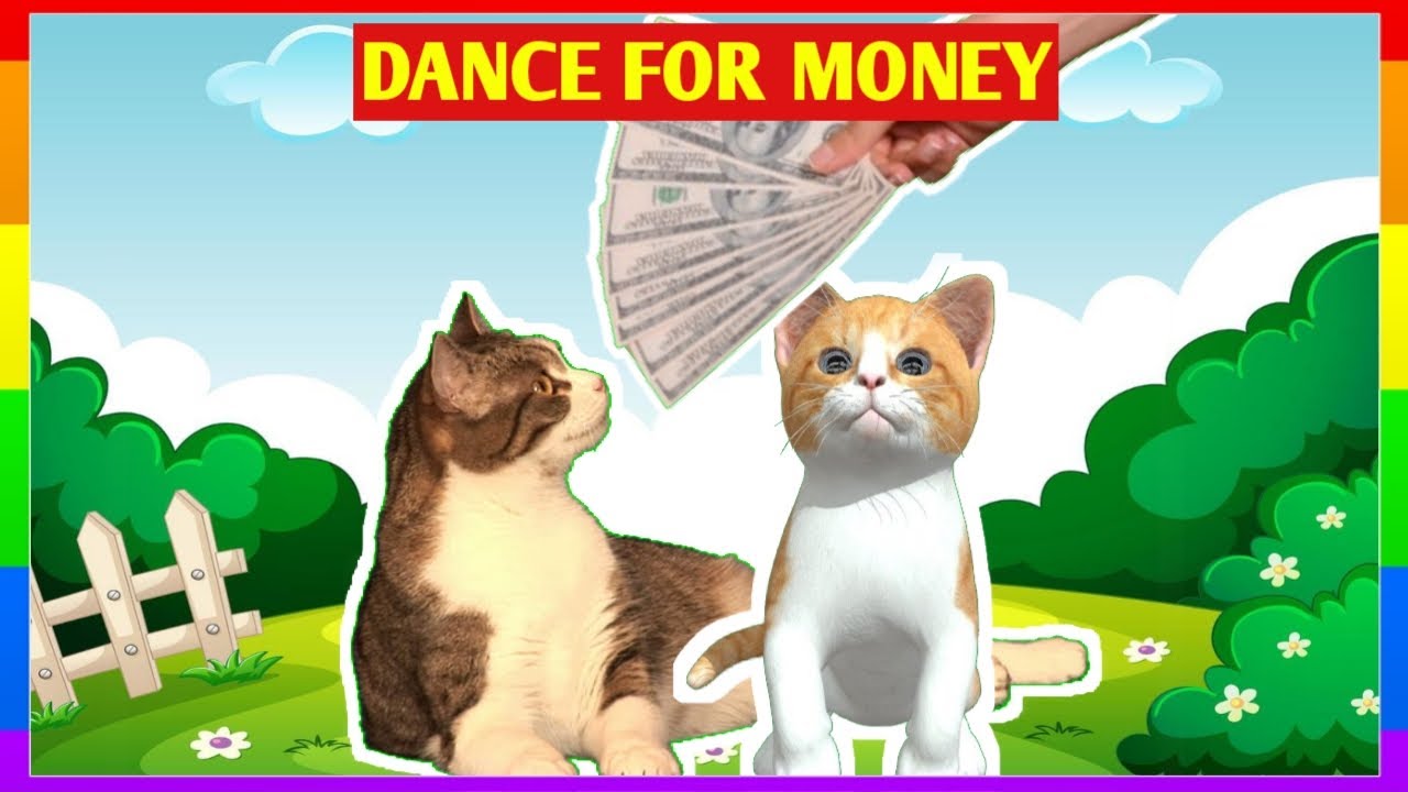 CUTE CAT & KITTEN MIAW MIAW | FUNNY CATS SING AND DANCE TO EARN MONEY ...