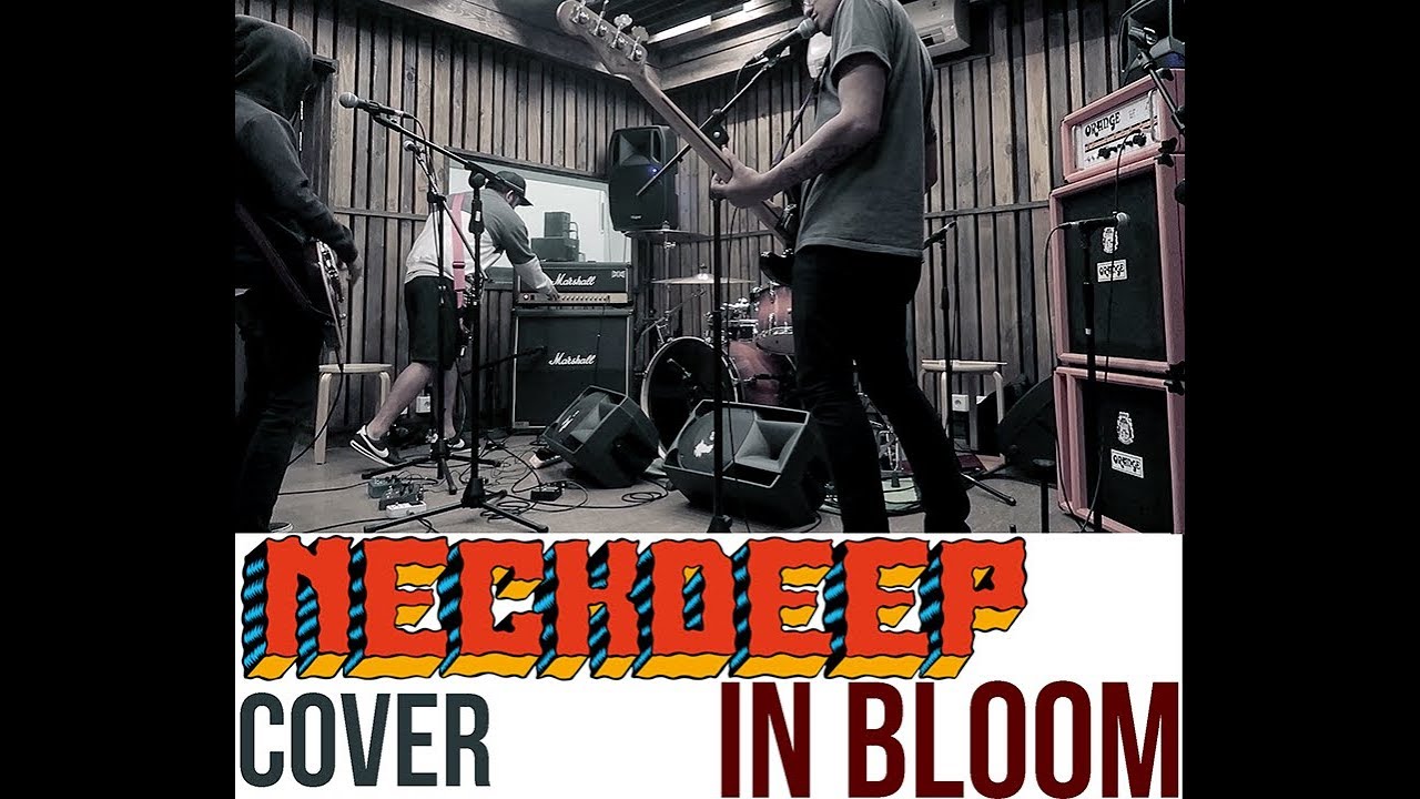 Neck Deep - In Bloom - After Alpha Cover - YouTube