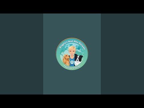 Angel'in Noel🐾Alex dünyası  kanalı canlı yayında