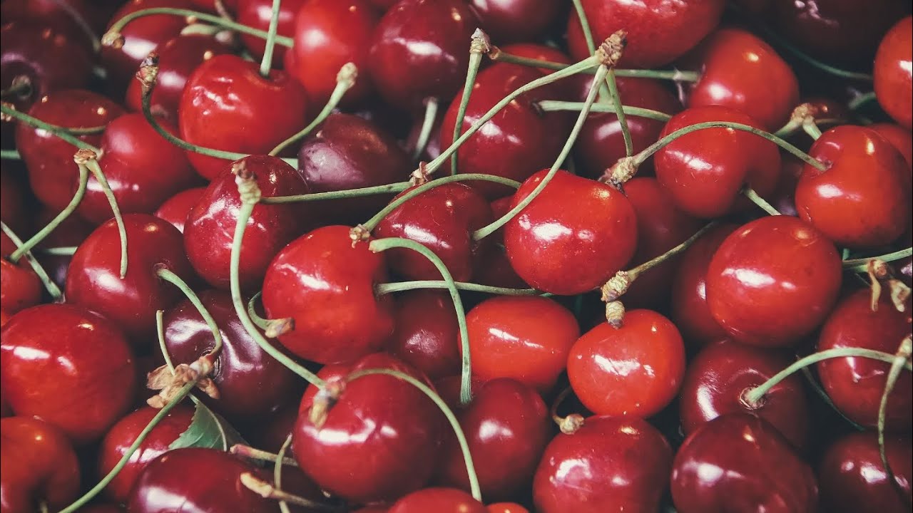 Trader Joe's 100% Red Tart Cherry Juice Review - YouTube