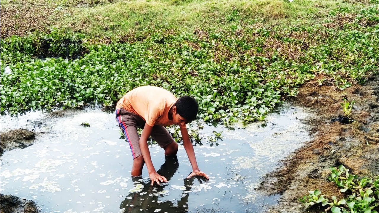 BIG FISH HUNTING Catching By Professional Fishermen Unbelievable Fish ...