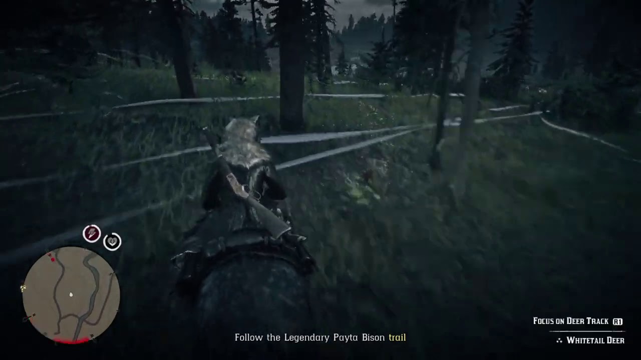 Red Dead Online - Legendary Payta Bison - YouTube