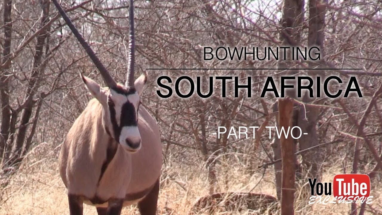 Bow Hunting South Africa 2017 - Part 2 - YouTube
