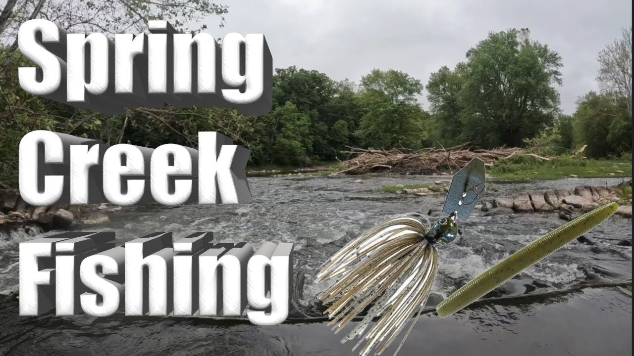 Spring Creek Fishing For Whatever Bites! - YouTube