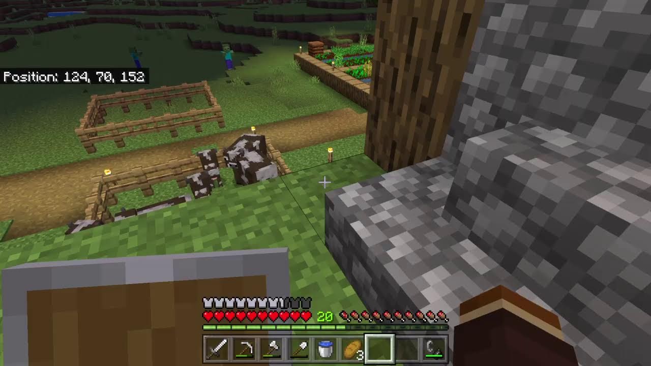 minecraft single player - YouTube