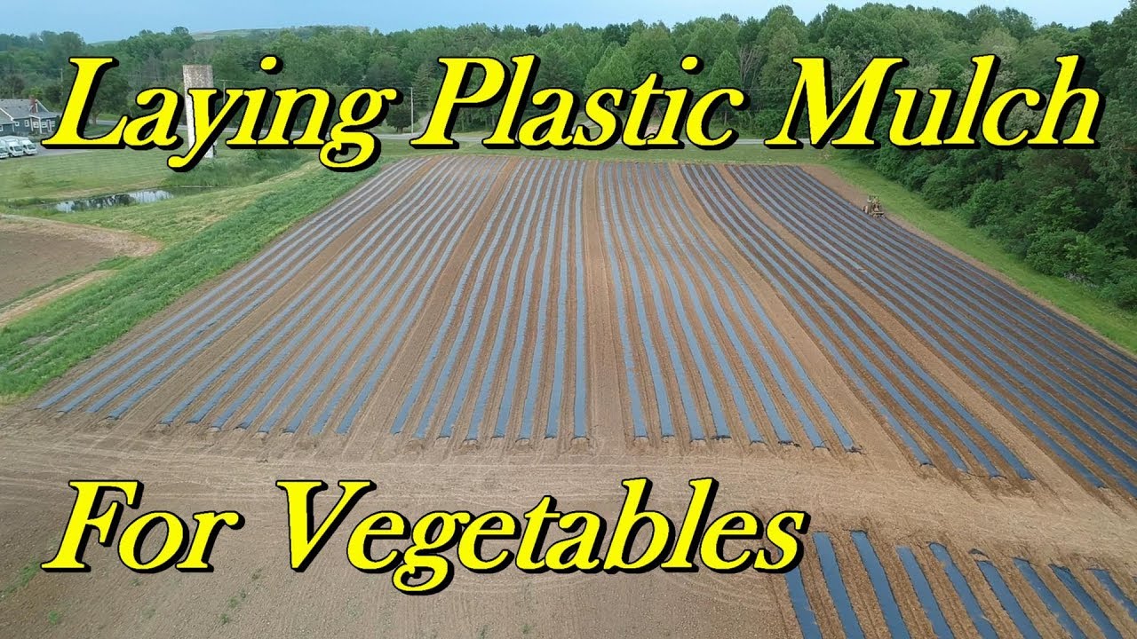 Long Days on the Farm | Disking, Laying Plastic, and Farmers’ Markets ...