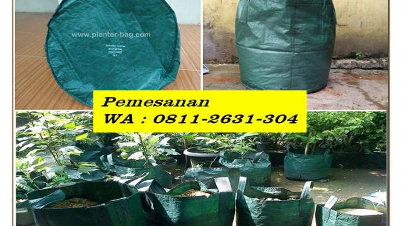 SPESIAL.planter bag untuk mangga, hub 0811-2631-304, grosir planter bag ...