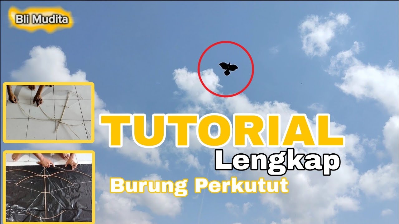 wow..Tutorial Cara Bikin Layangan Burung Perkutut || Layangan Burung ...