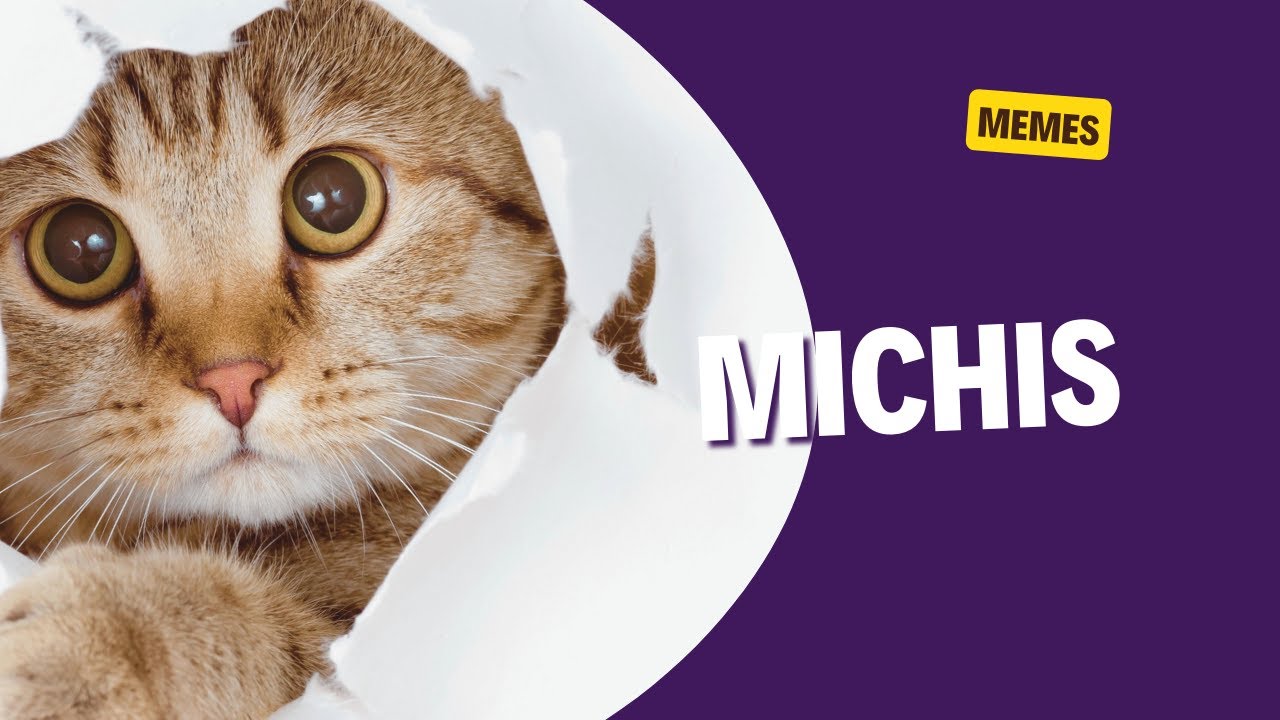 Michis | Memes - YouTube