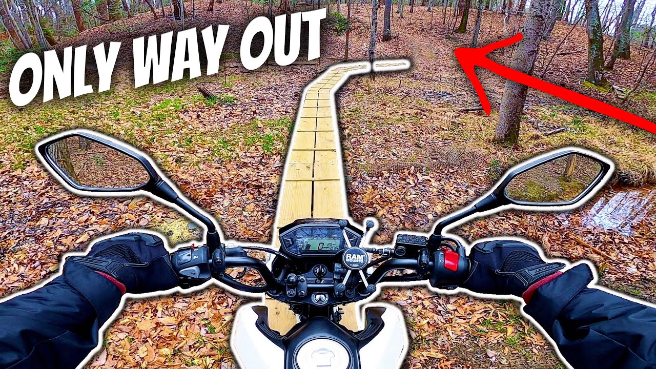 Another Day, Another Questionable Decision On My Grom - YouTube