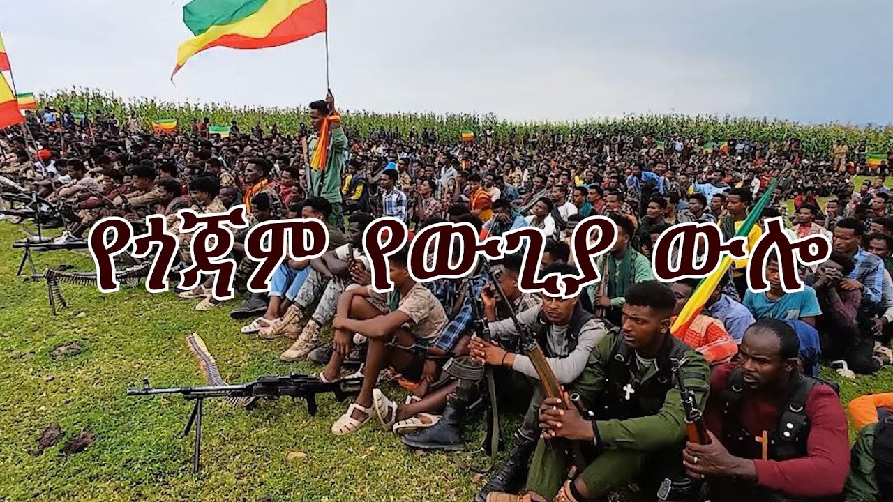 Anchor Media የዛሬው የጎጃም የውጊያ ዘገባዎች፥ በርካታ አከባቢዎች ተይዘዋል - YouTube