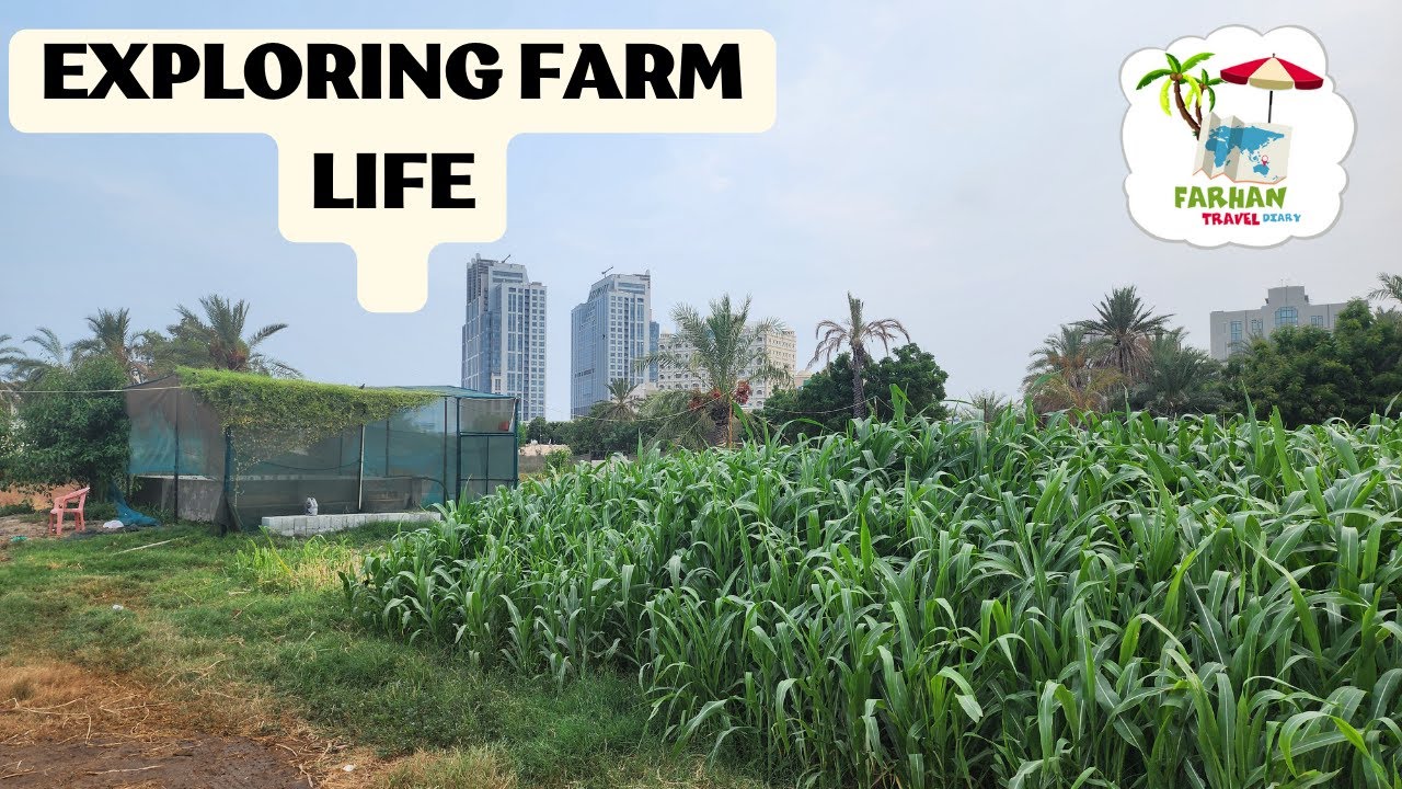 Exploring Farm Life: A Day with Farm Animals - YouTube
