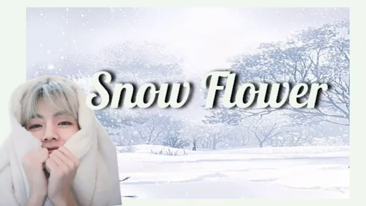 BTS V -SNOW FLOWER- (FEAT PEAK BOY) LYRICS - YouTube