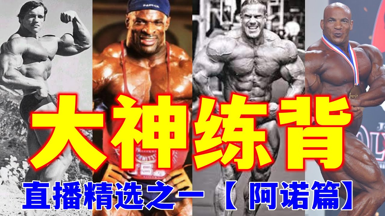 【磐石健美】【直播精選】超時空講解奧賽大師背部訓練技阿諾德健美阿諾德施瓦辛格羅尼庫爾曼大雷米多裡安耶茨肖恩雷弗萊克斯惠樂李哈尼岡特施萊坎普 ...