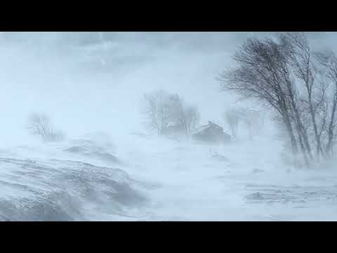 Ultimate Snow Blizzard & Blowing Snow Storm Sounds | Realistic Nature Sounds & Ambient Winter Wind