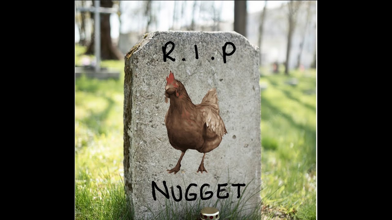 She Killed Nugget :( - YouTube