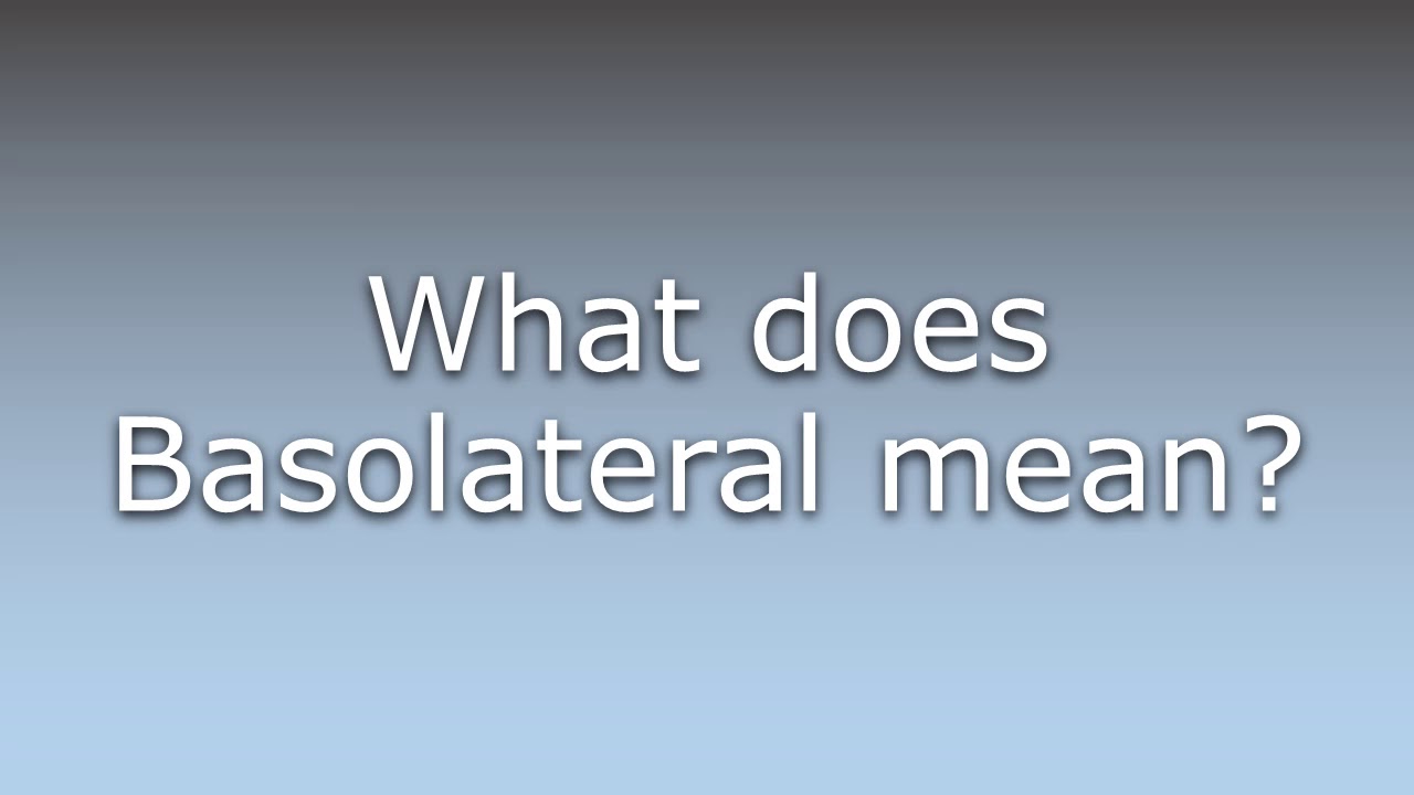 What does Basolateral mean? - YouTube