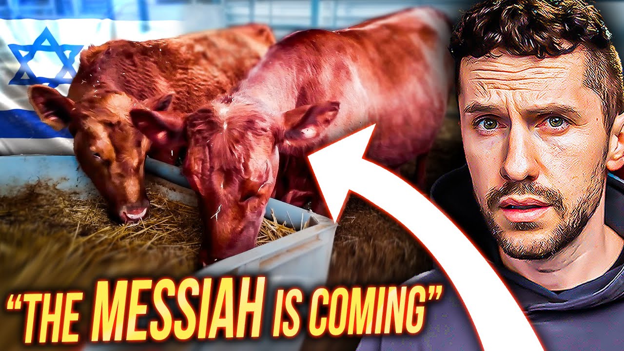 Red Heifer's FINALLY Arrived in ISRAEL & It's Almost Time ...