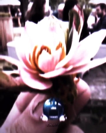 Brother, can you tell if this is an insect or a flower?🤨#trollface # ...