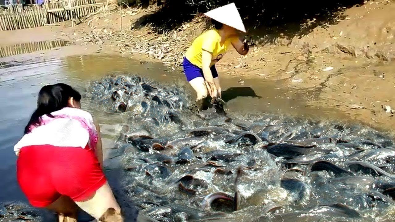 Beautiful Girl Fishing | Amazing Fishing at Pailin | How To Fishing By ...