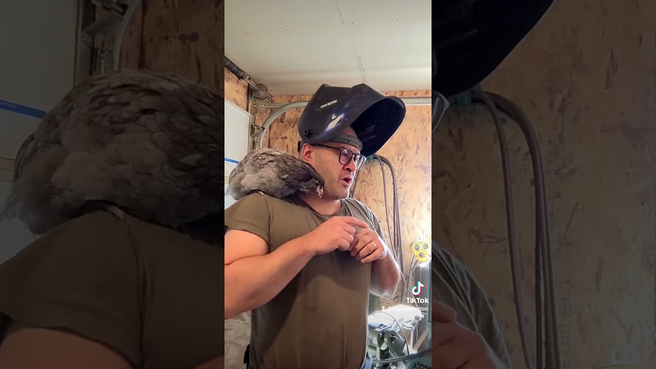 Kylo Hen 2021 03 19 - YouTube