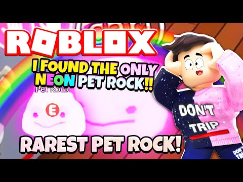 I Found the ONLY NEON PET ROCK in Adopt Me! NEW Adopt Me Rock Pet Update (Roblox)