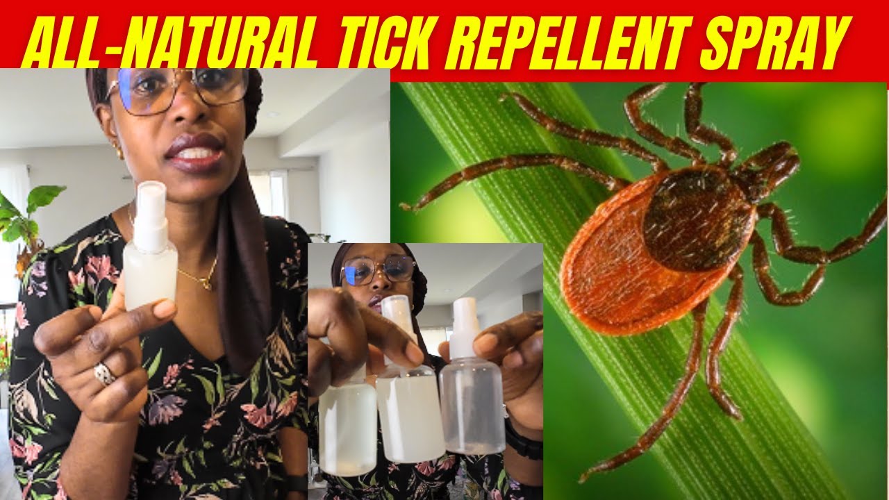 HOMEMADE TICK REPELLENT SPRAY| BYE BYE TICKS| ENJOY MORE TIME IN NATURE ...