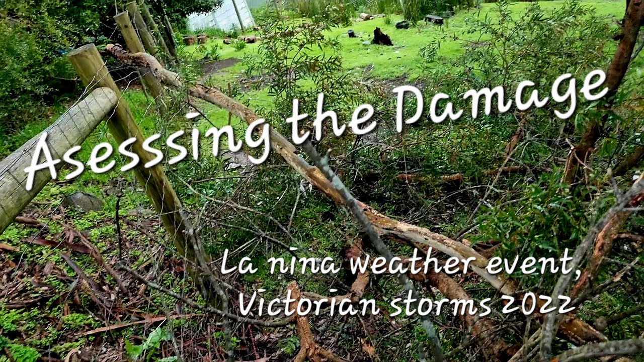 Assessing Storm Damage Around the Property after a long weekend away ...