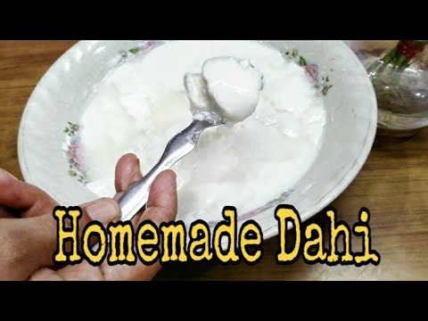 Dahi Recipe | Dahi jamane ka tarika |Dahi banane ka tarika |How to make ...