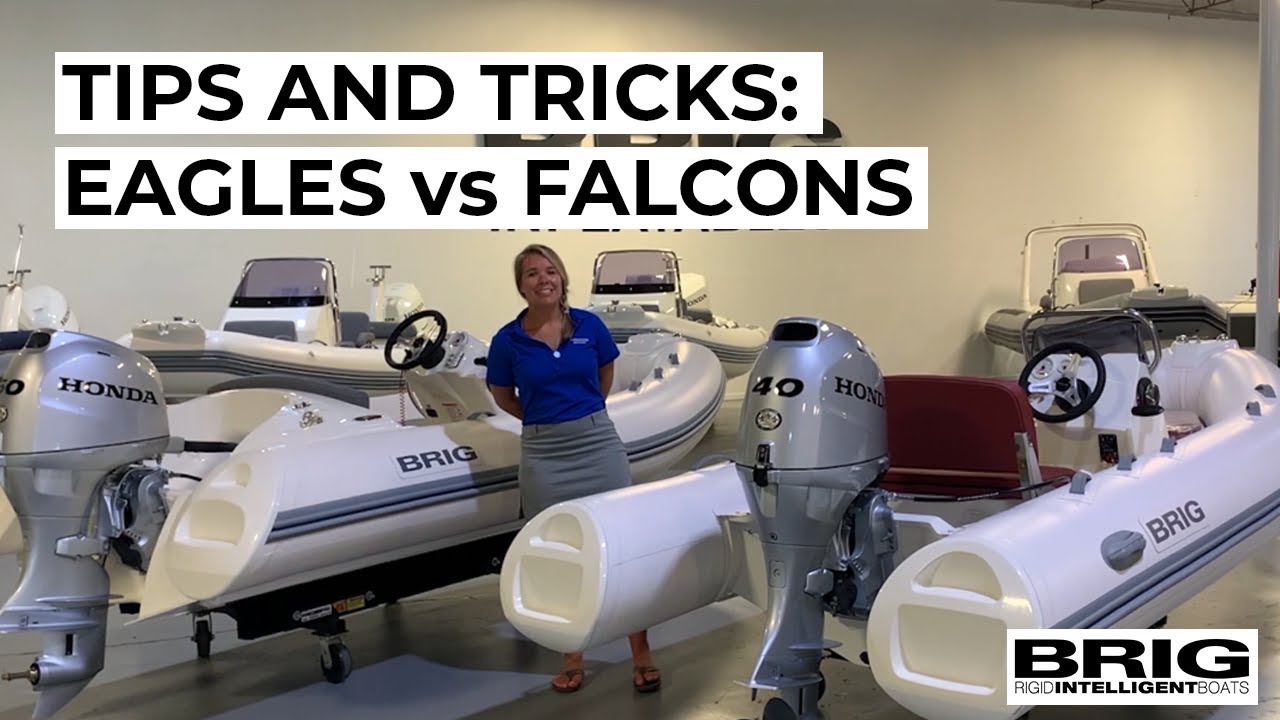 How the BRIG Eagle Series Compares to the BRIG Falcon Series - YouTube