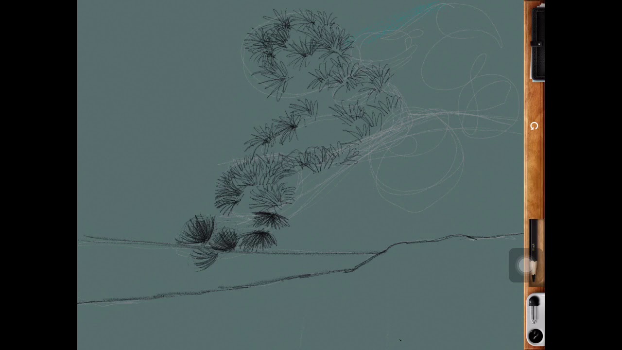 how to draw a little tree - YouTube