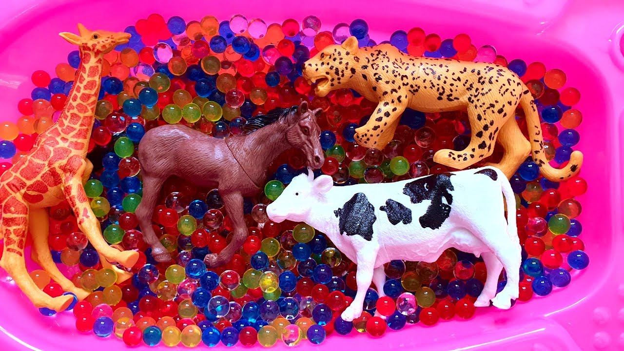 Palline Colorate che si gonfiano con l'acqua-Orbeez-Ciao Gabi - YouTube