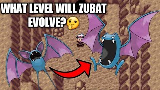 Zubat Evolution Chart Emerald