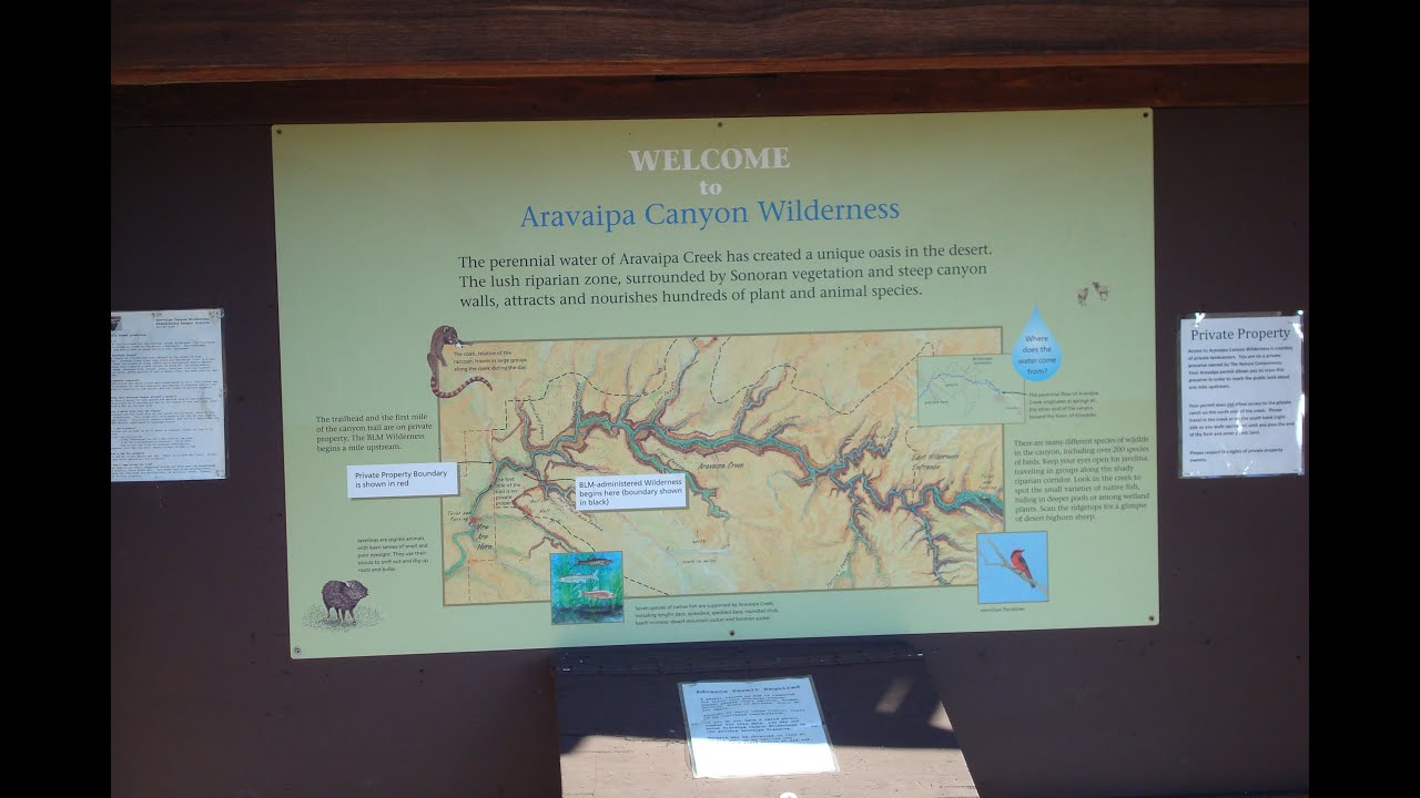 ADEQ Water Quality Assessment and Monitoring - YouTube